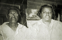 Regina Harris Baiocchi's Biography